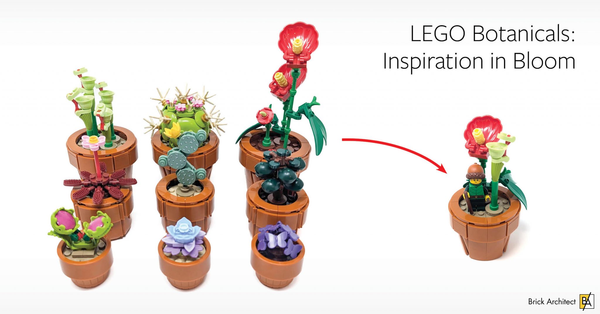 LEGO Botanicals in Full Bloom: Inspiration for Your Own Creations ...